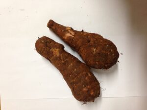 Produits – Rak&Spa Services